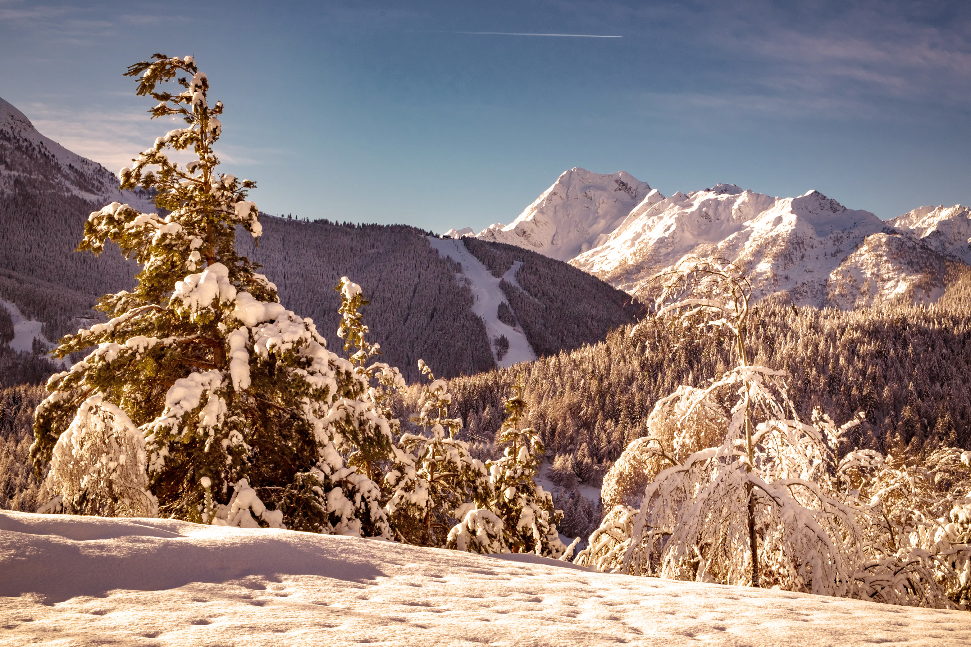 Buy ski pass - Aprica